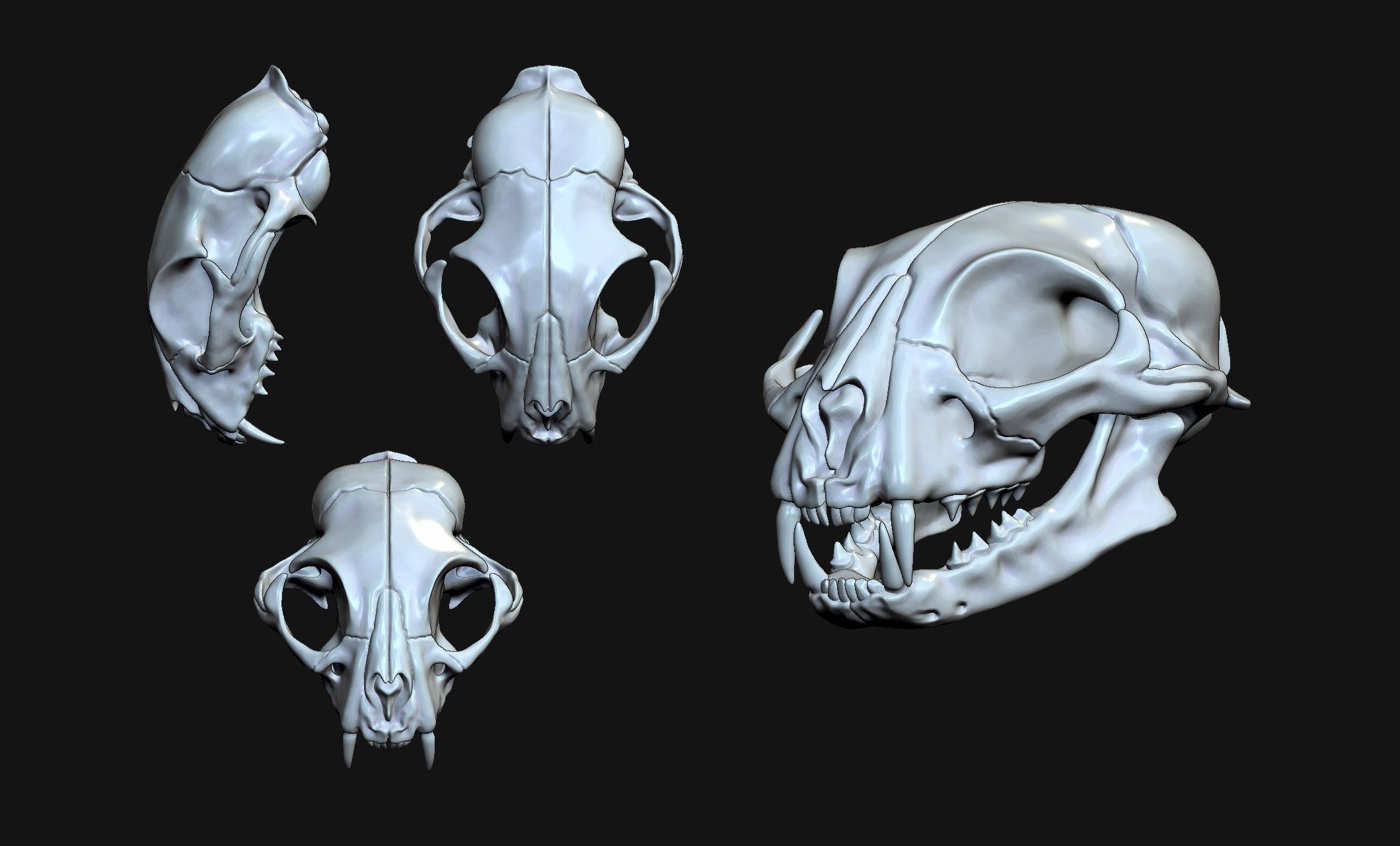 Cat Skull - CNC and 3D model 3D printable | CGTrader