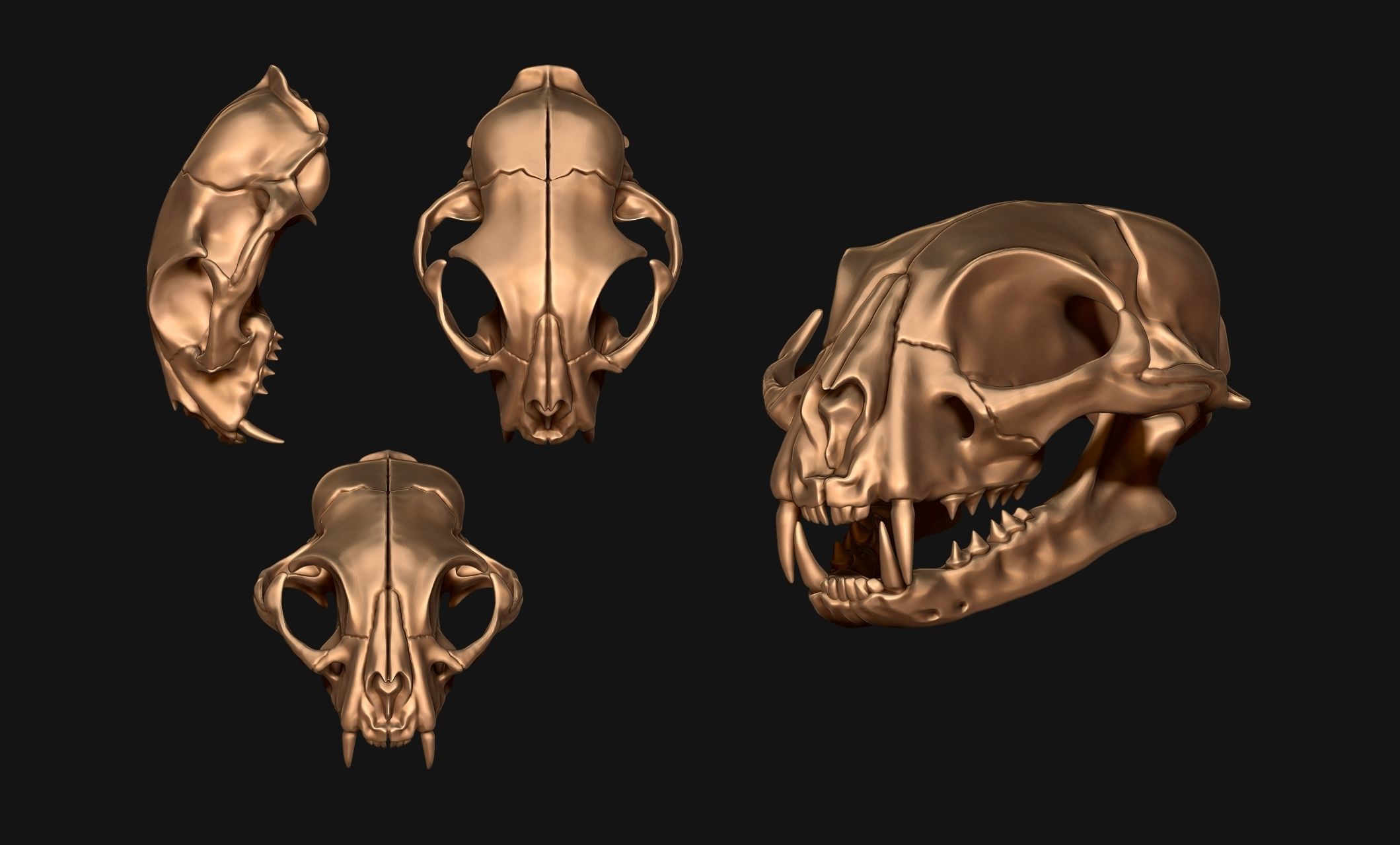 Cat Skull - CNC and 3D model 3D printable | CGTrader