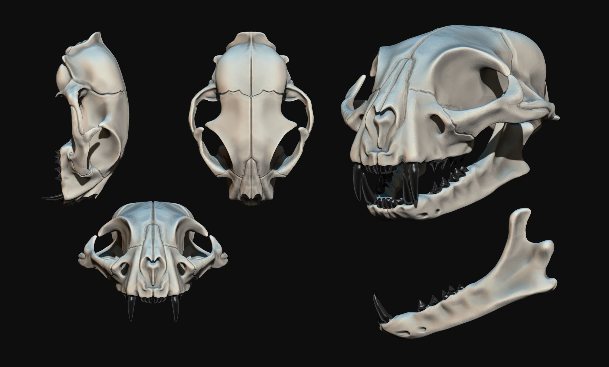 Cat Skull - CNC and 3D model 3D printable | CGTrader