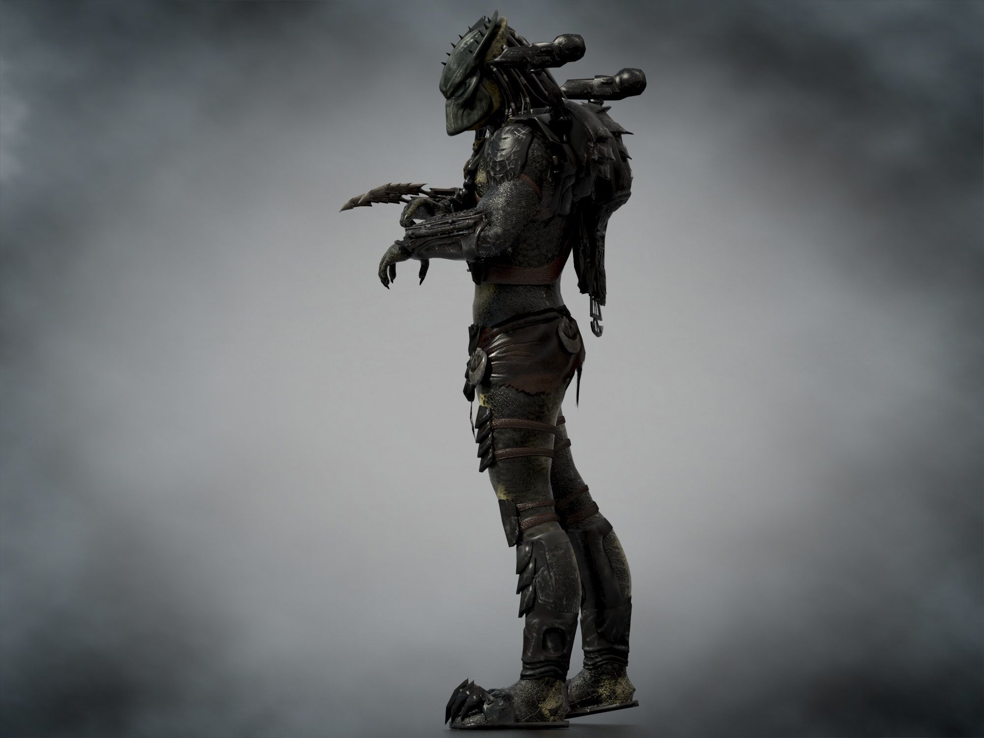3D model Predator Wolf VR / AR / low-poly rigged | CGTrader