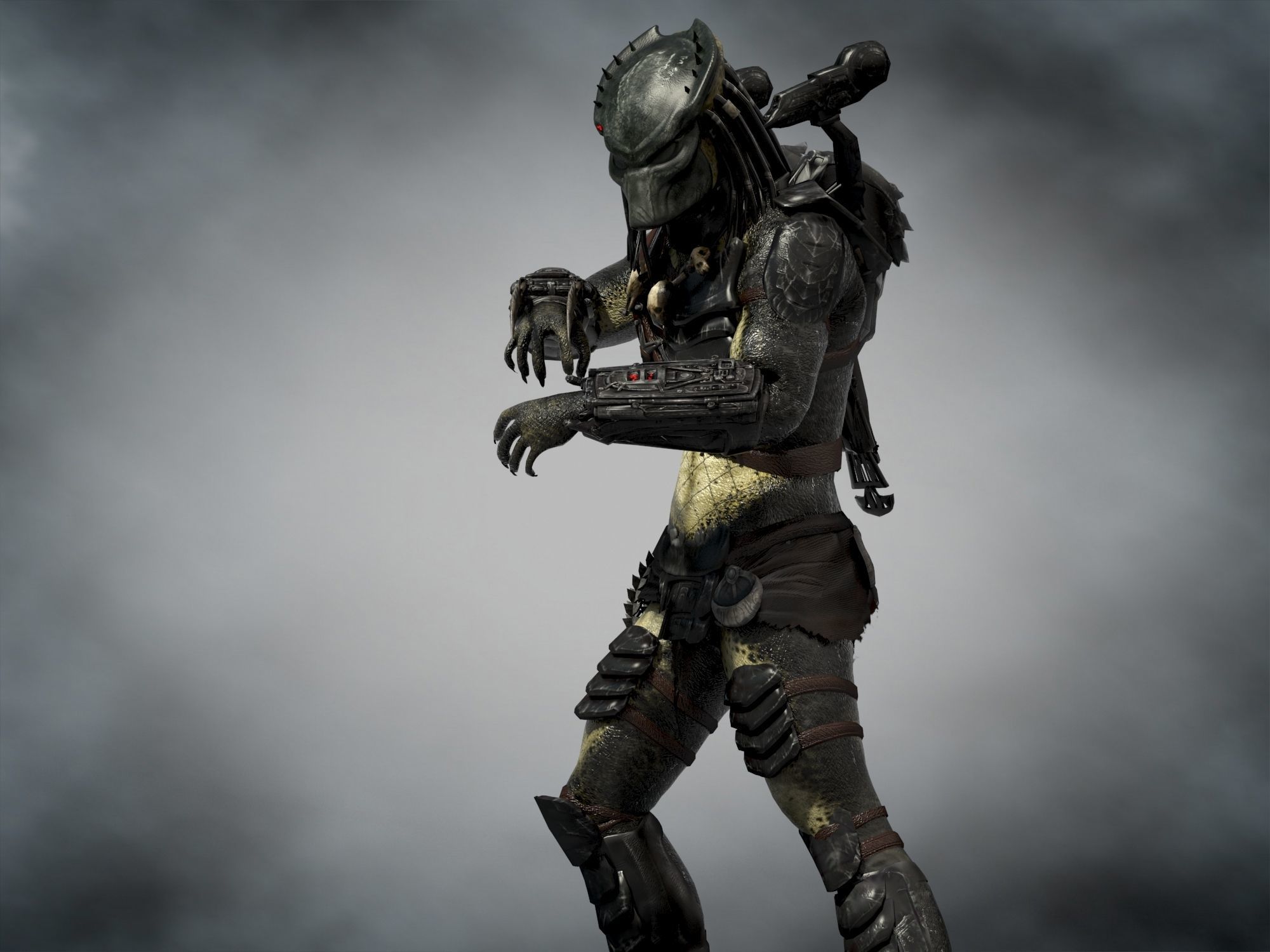 3D model Predator Wolf VR / AR / low-poly rigged | CGTrader