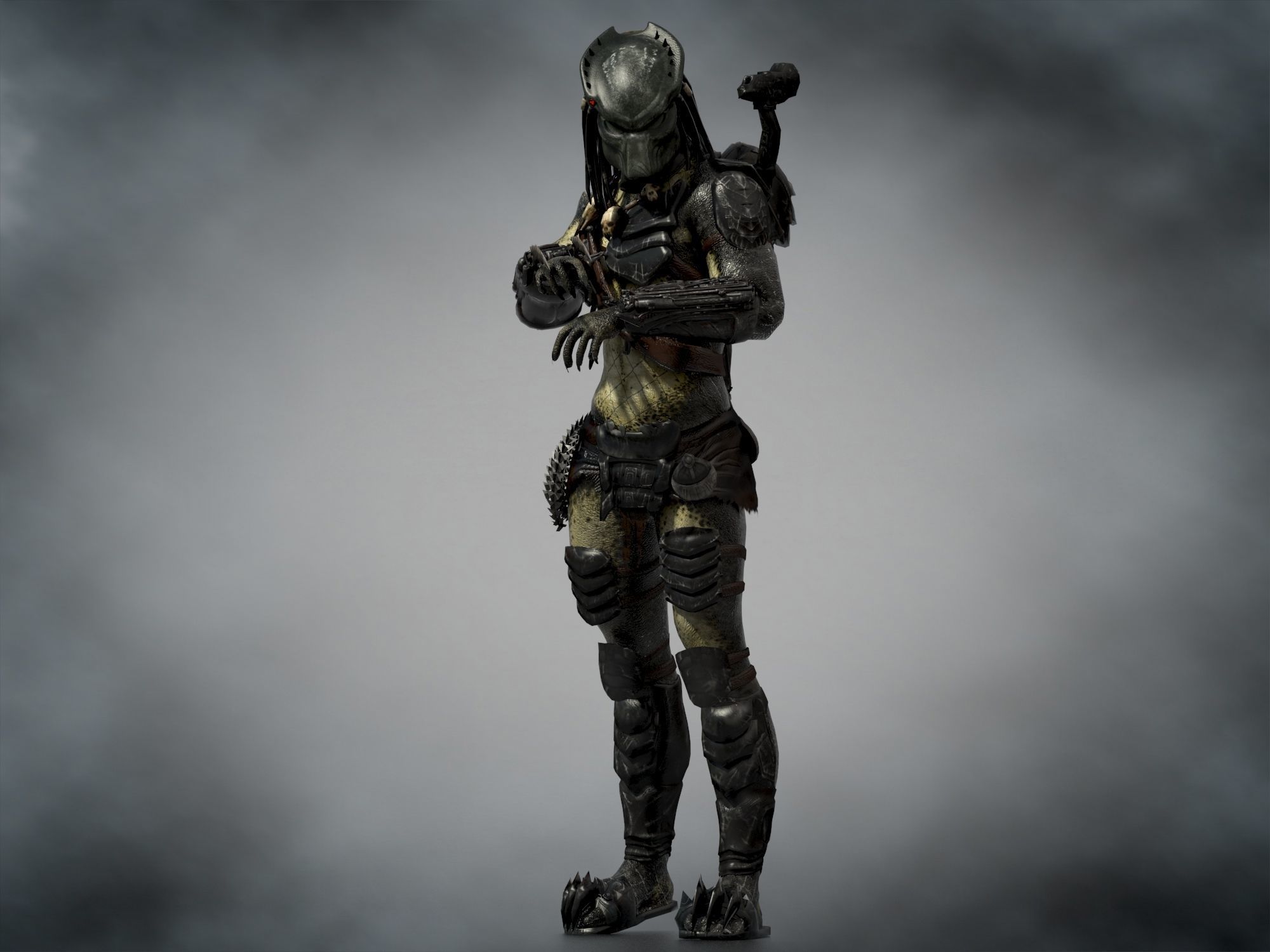 3D model Predator Wolf VR / AR / low-poly rigged | CGTrader