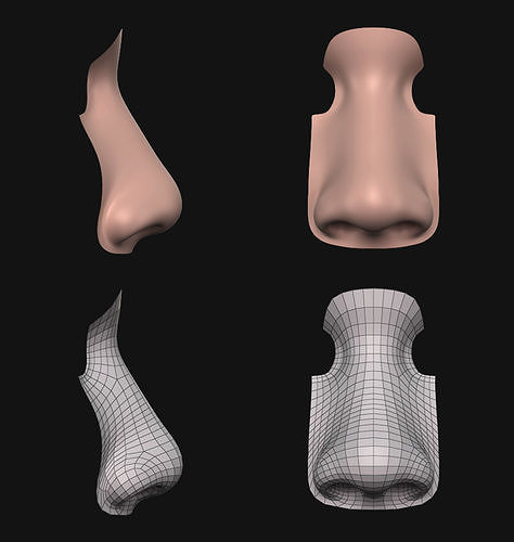 Noses free 3D model | CGTrader