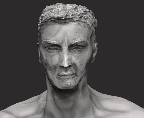 face sculpting free 3D model 3D printable | CGTrader