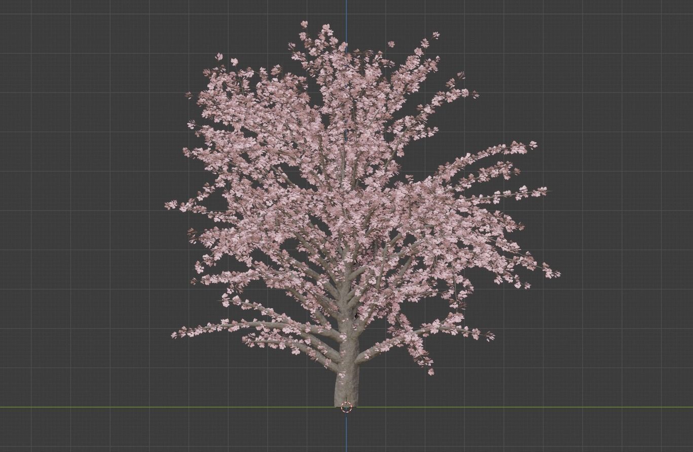Cherry Blossom Tree 3D Model 3D model | CGTrader