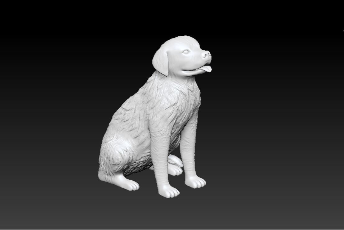 Golden Retriever Printable 3D model 3D printable | CGTrader