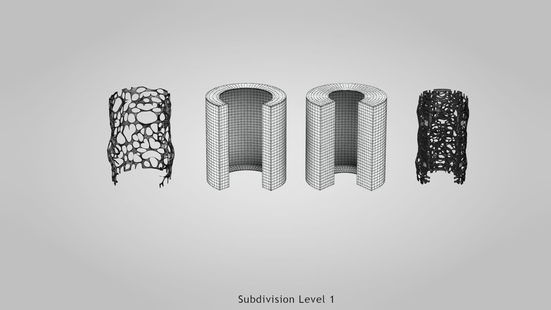 Healthy and Osteoporotic Bone Section 3D model | CGTrader