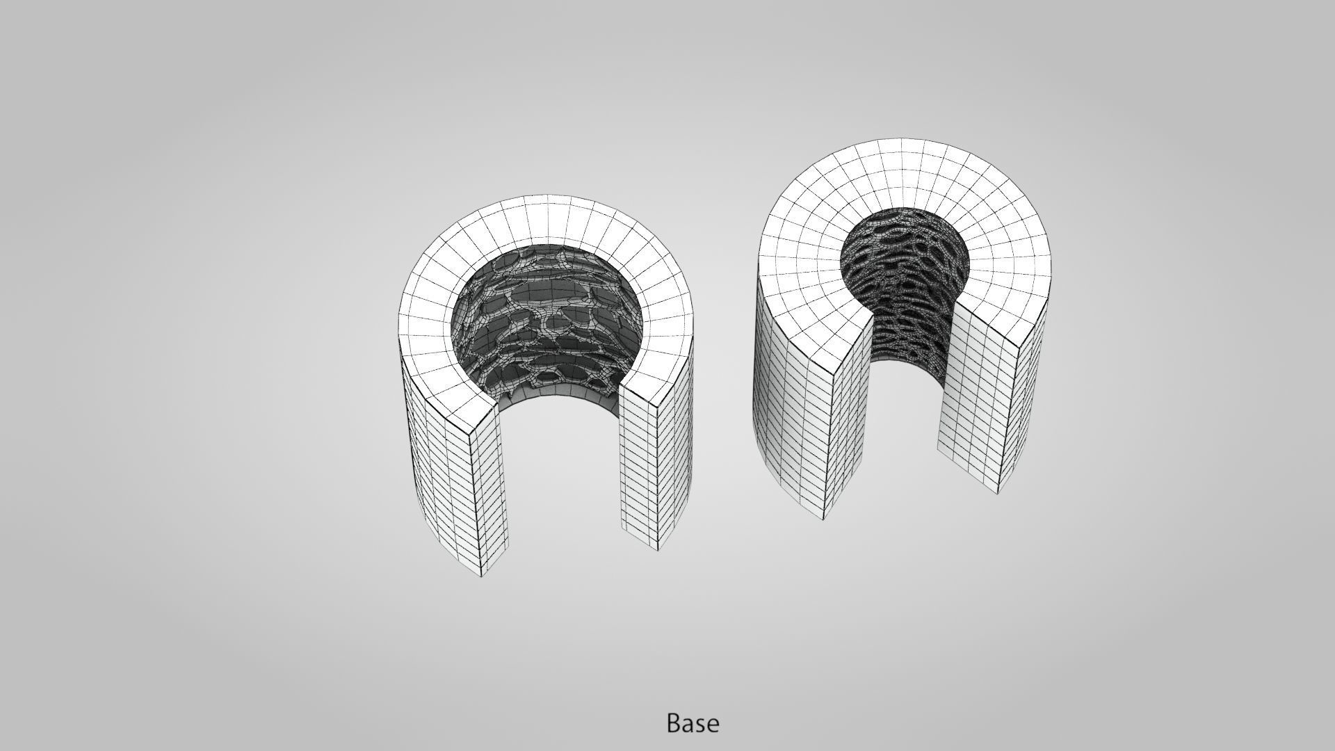 Healthy and Osteoporotic Bone Section 3D model | CGTrader