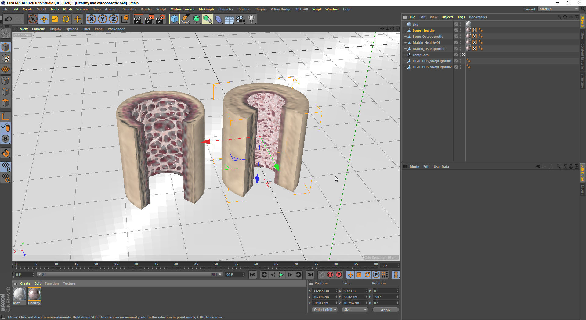 Healthy and Osteoporotic Bone Section 3D model | CGTrader