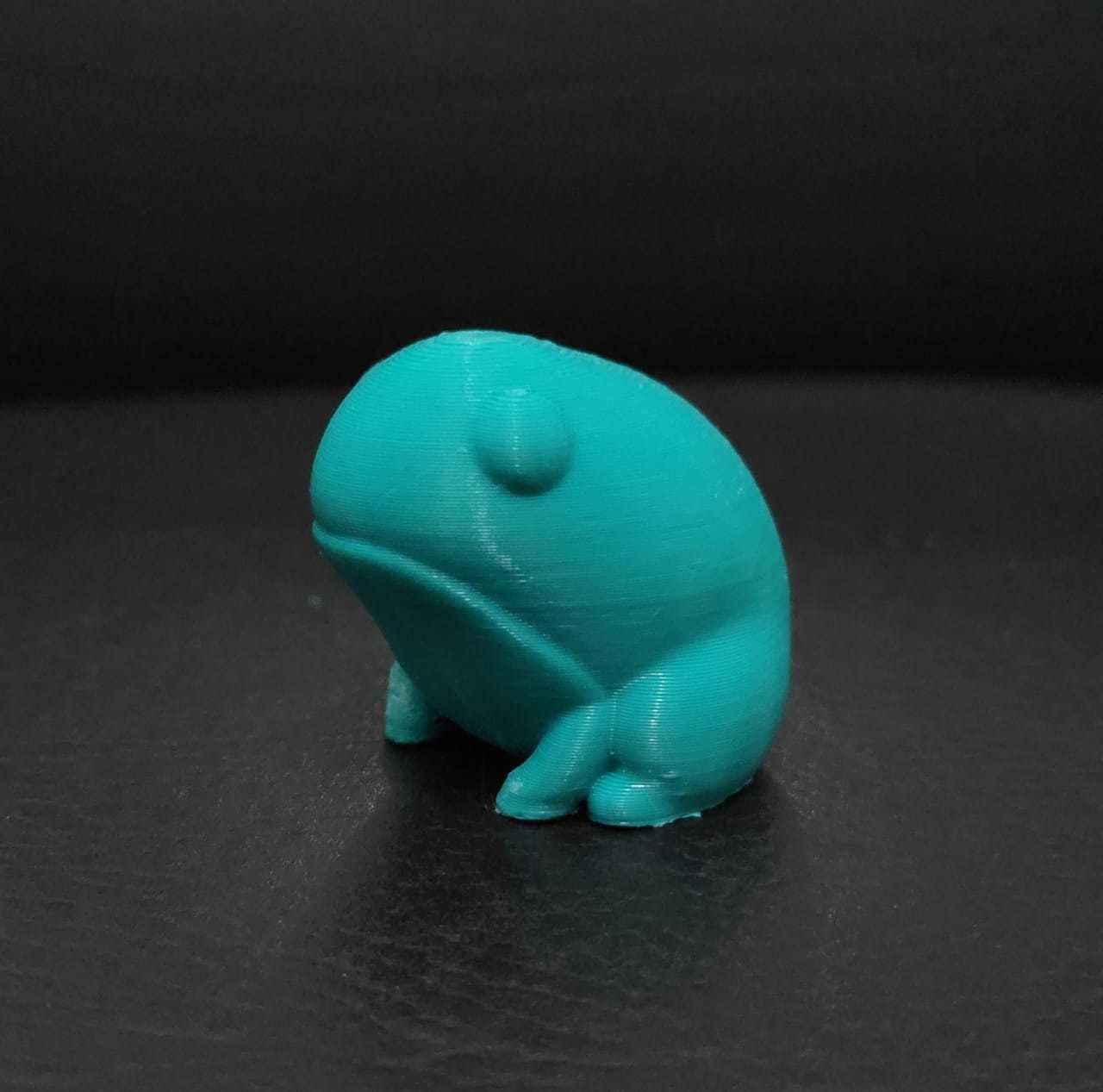 Cute Little Frog 3D model 3D printable | CGTrader