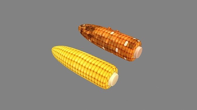 3D model Cartoon corn on the cob - grilled corn VR / AR / low-poly ...