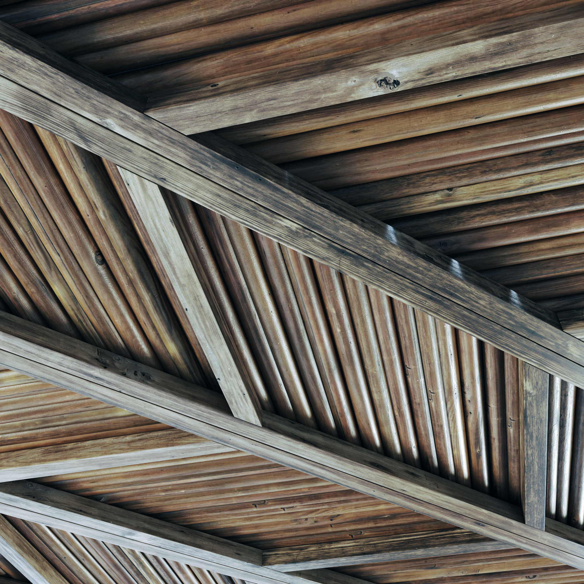 Ceiling diagonal branch straight n2 3D model | CGTrader