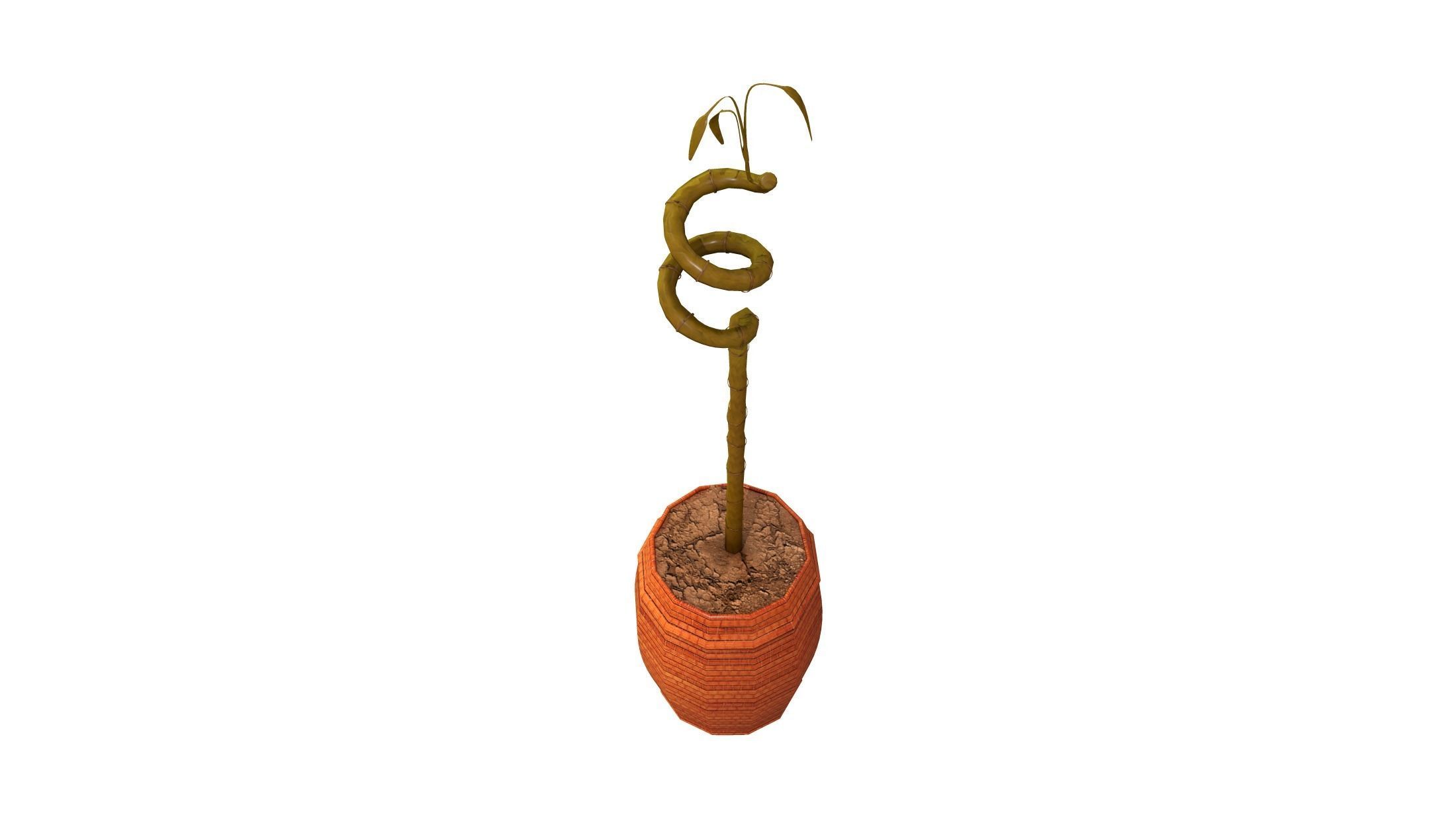 3D model Spiral Bamboo Stick Interior Plant VR / AR / low-poly | CGTrader