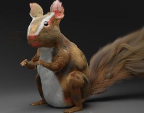 Low-poly Squirrel 3D Models | CGTrader