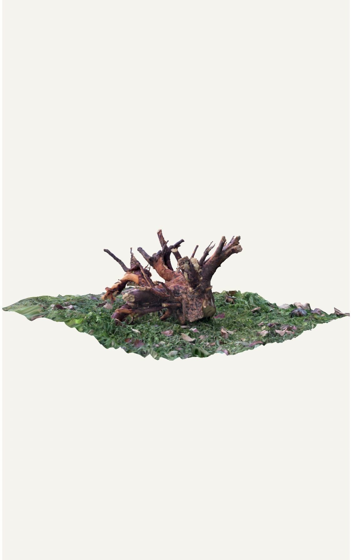 wood bush on the grass 3D model | CGTrader