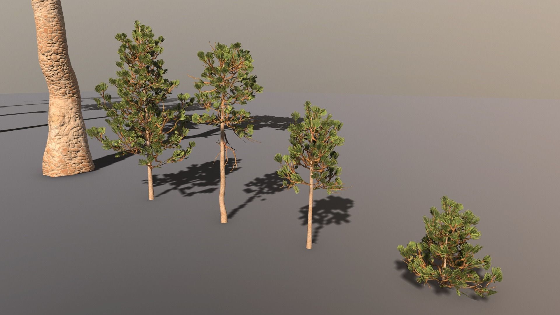 3D model Pine Pack VR / AR / low-poly | CGTrader