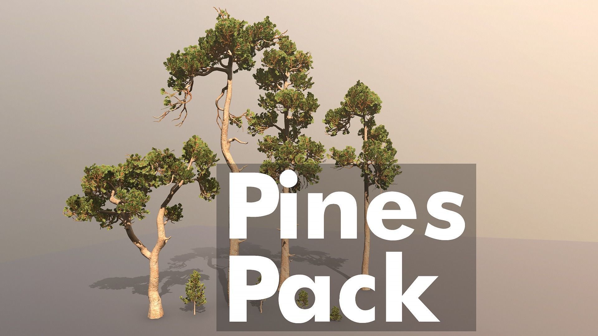 3D model Pine Pack VR / AR / low-poly | CGTrader