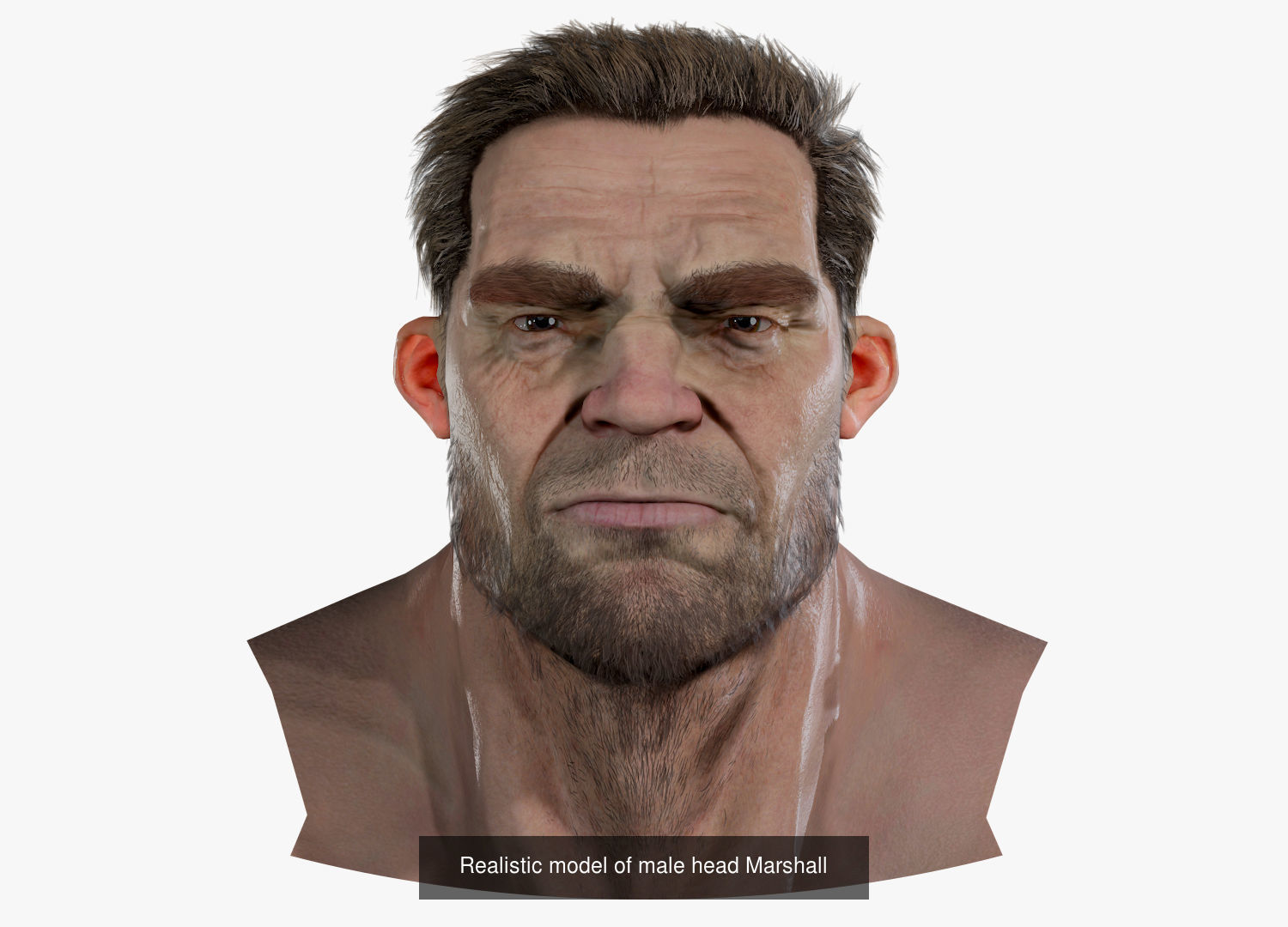 5 realistic models of heads 3D model 3D Model Collection | CGTrader