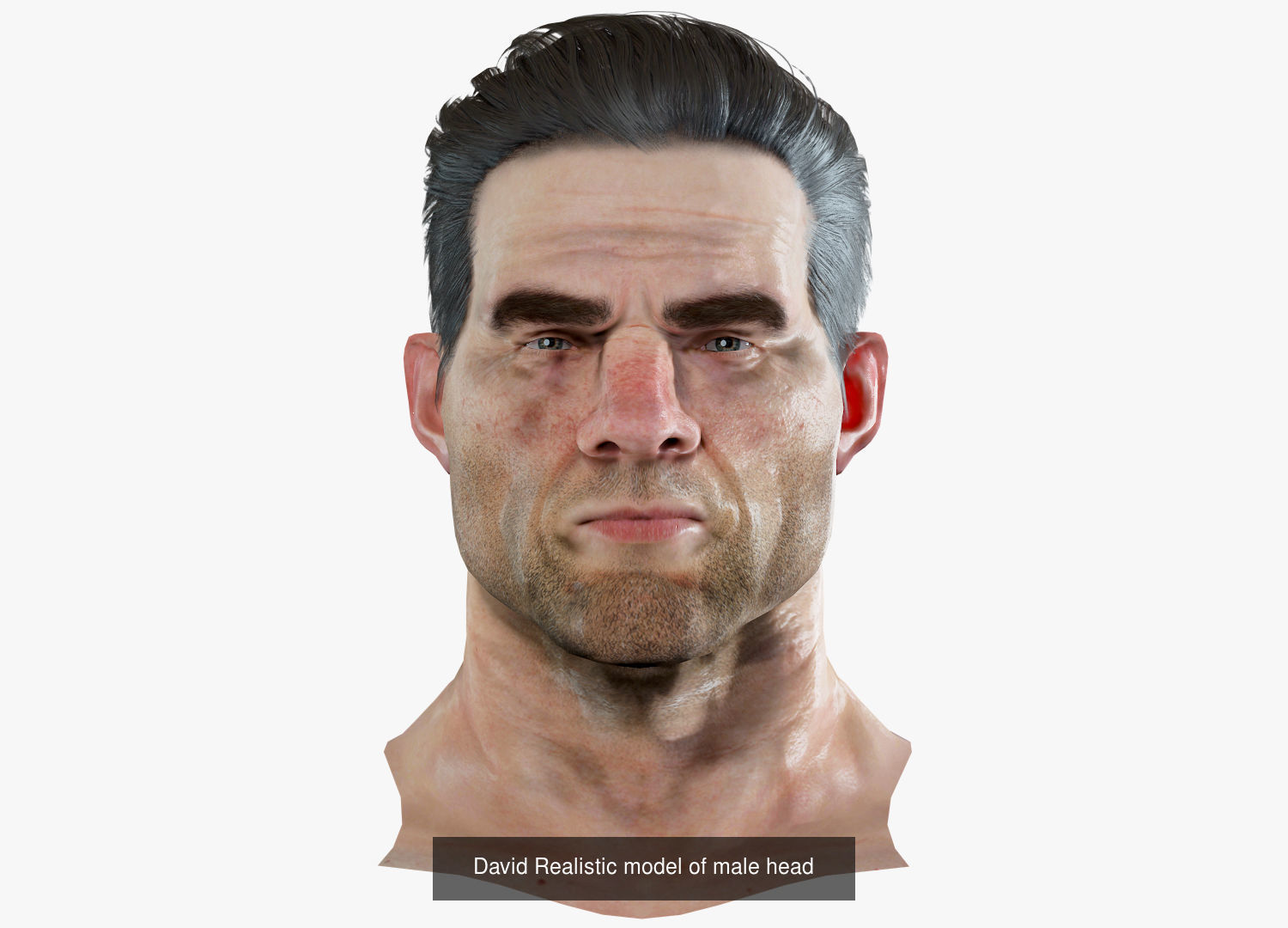 5 realistic models of heads 3D model 3D Model Collection | CGTrader