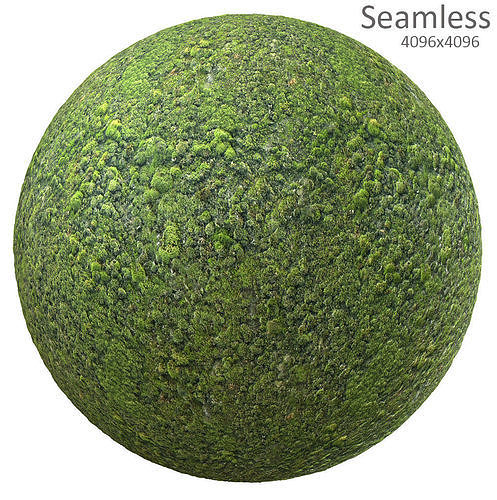 Texture moss texture VR / AR / low-poly | CGTrader