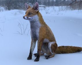 Fox 3D Models | CGTrader