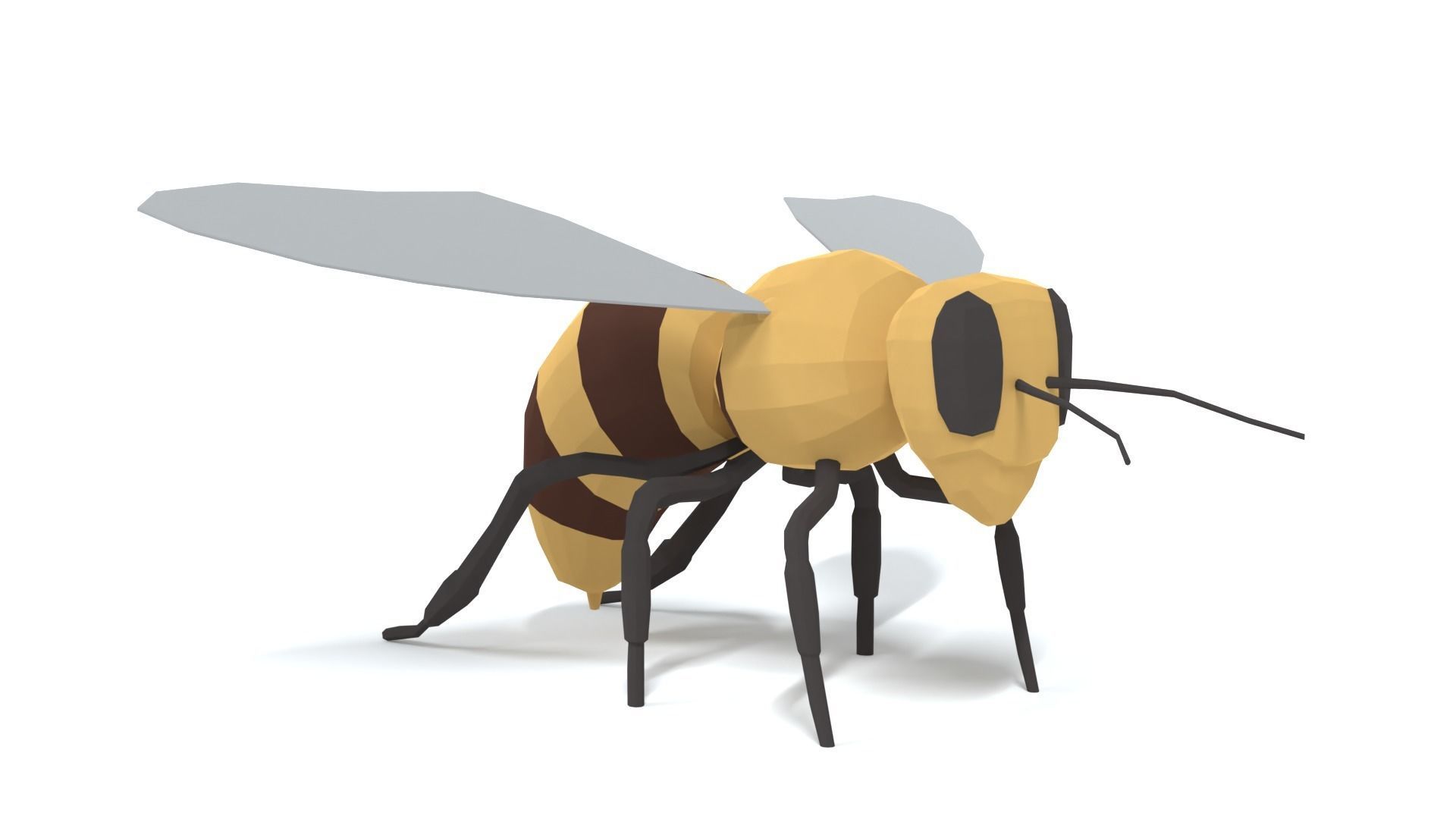 3D model Low Poly Cartoon Honey Bee VR / AR / low-poly | CGTrader
