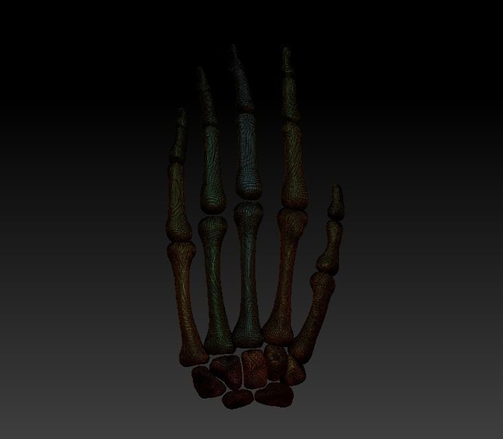 The 3D printing and downloading of human bone structure 3D model 3D ...