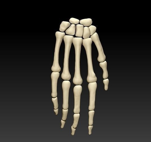 The 3D printing and downloading of human bone structure 3D model 3D ...