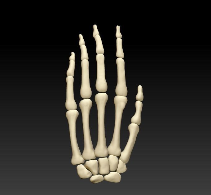 The 3D printing and downloading of human bone structure 3D model 3D ...