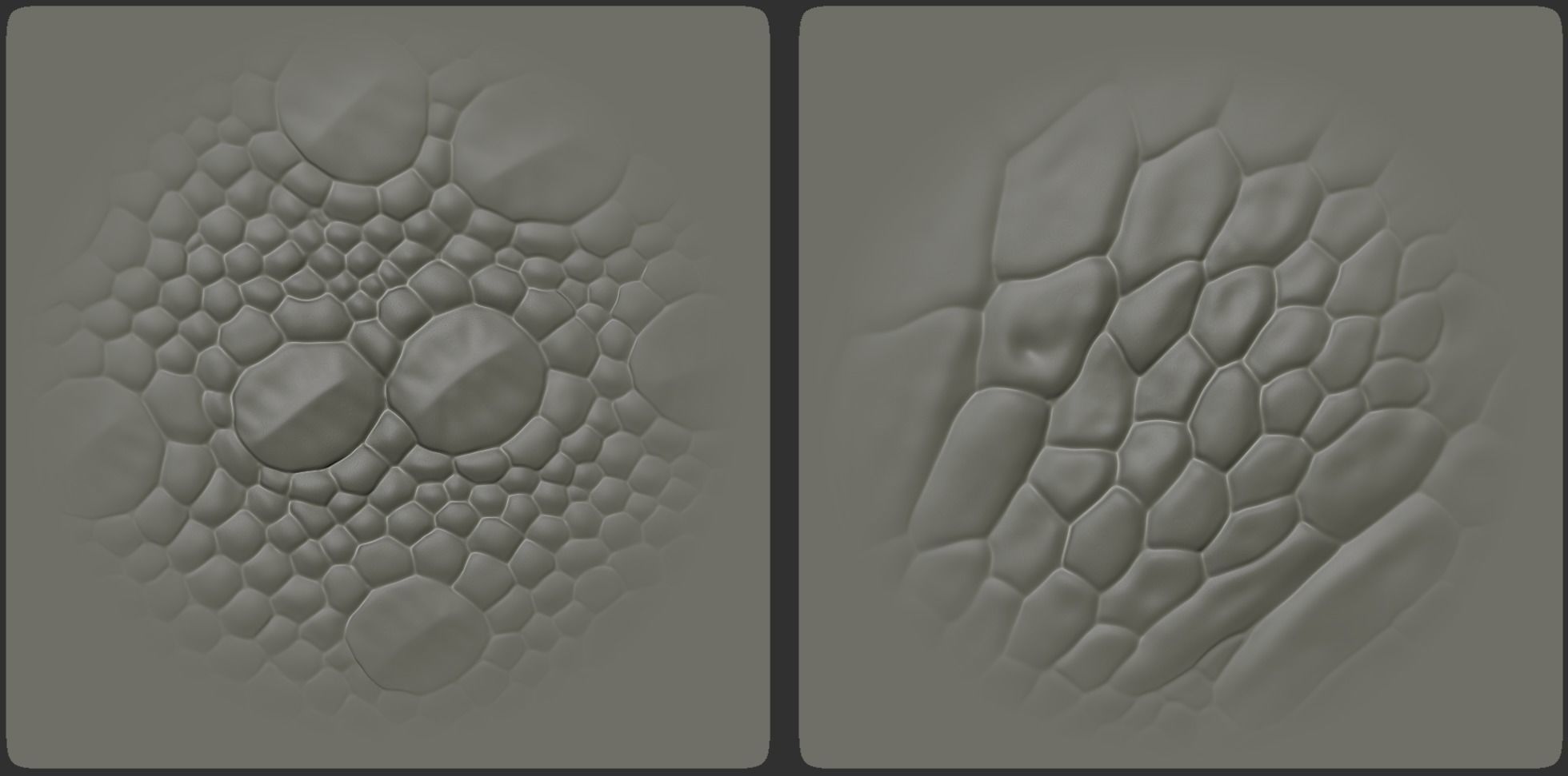 18 Reptile Dragon lizard crocodile Skin Scale Alphas V2 3D model | CGTrader