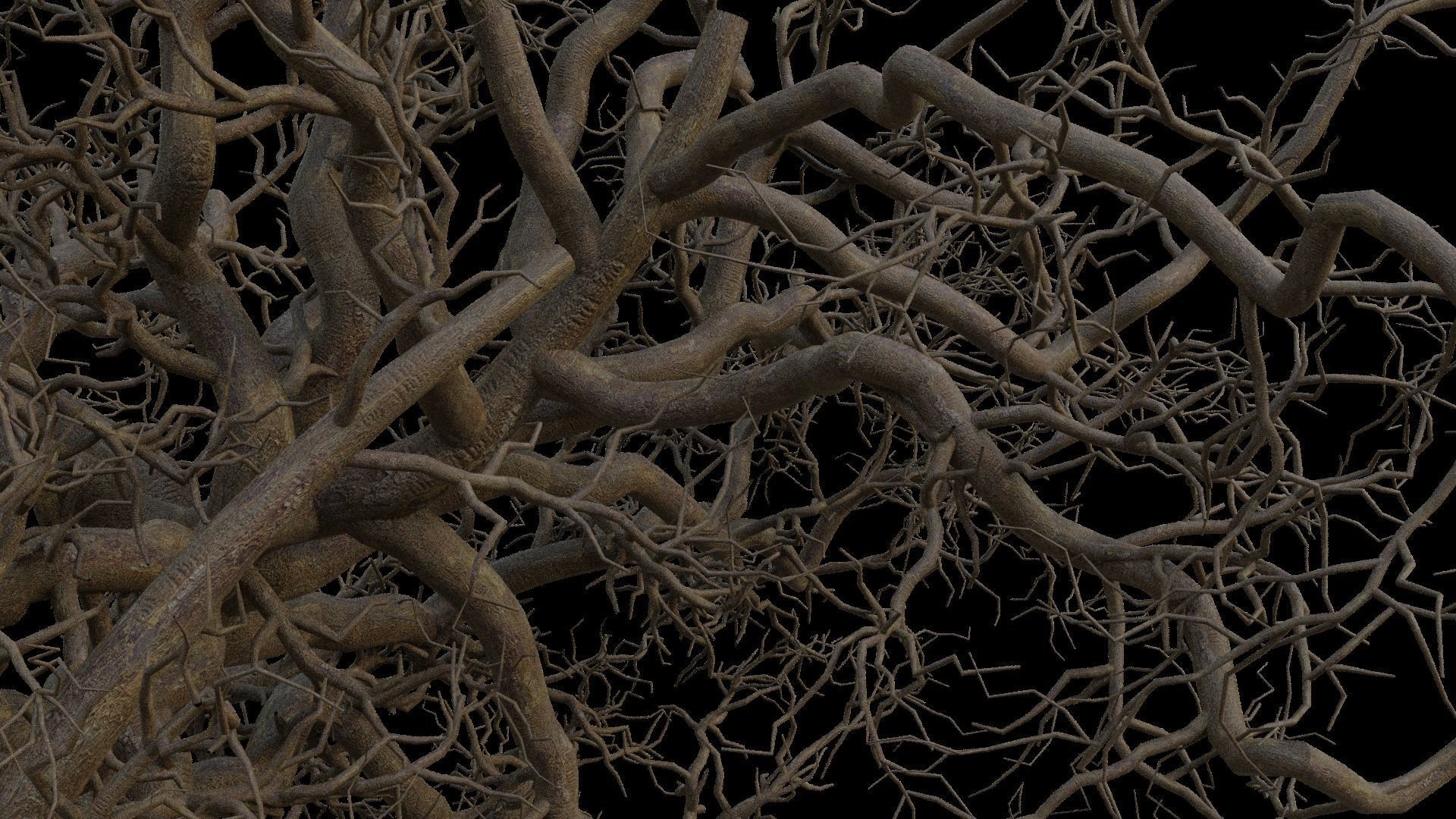Spooky tree with pbr textures 3D model | CGTrader