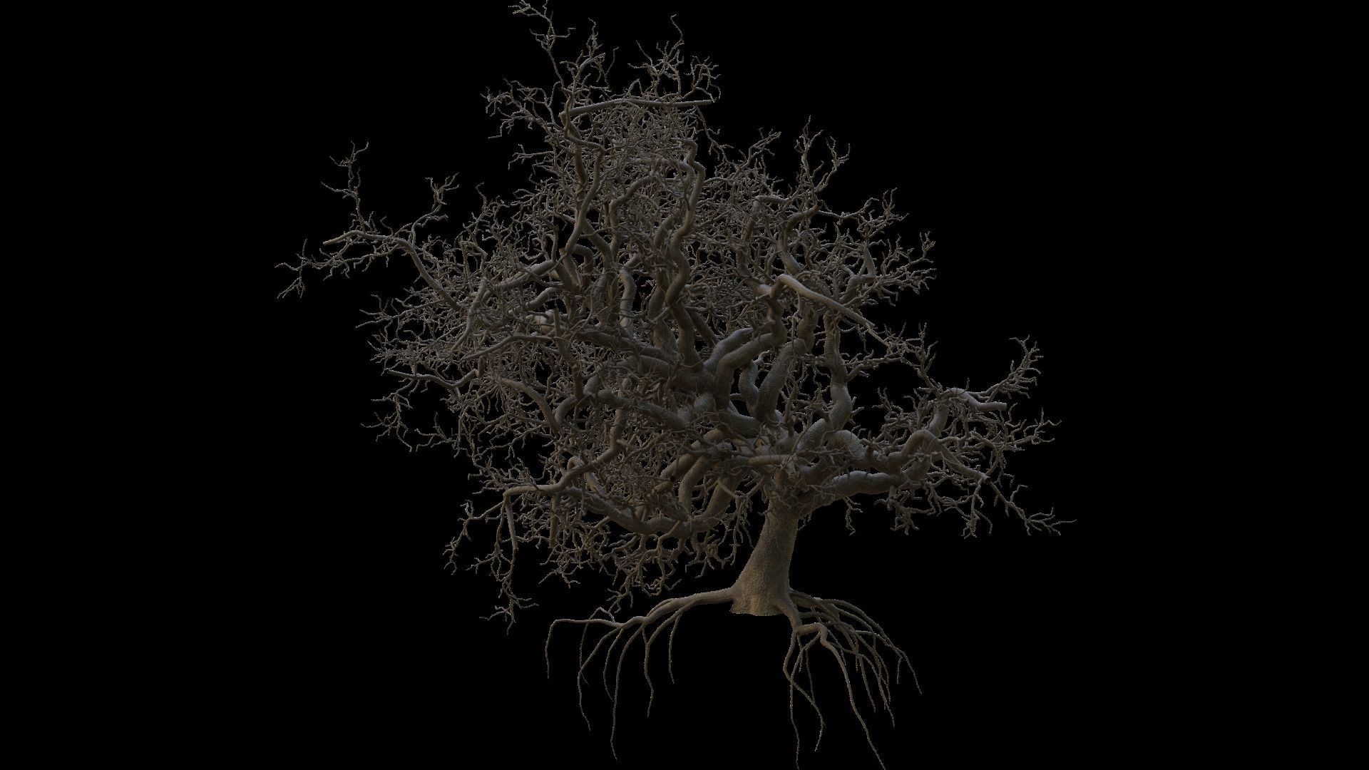 Spooky tree with pbr textures 3D model | CGTrader