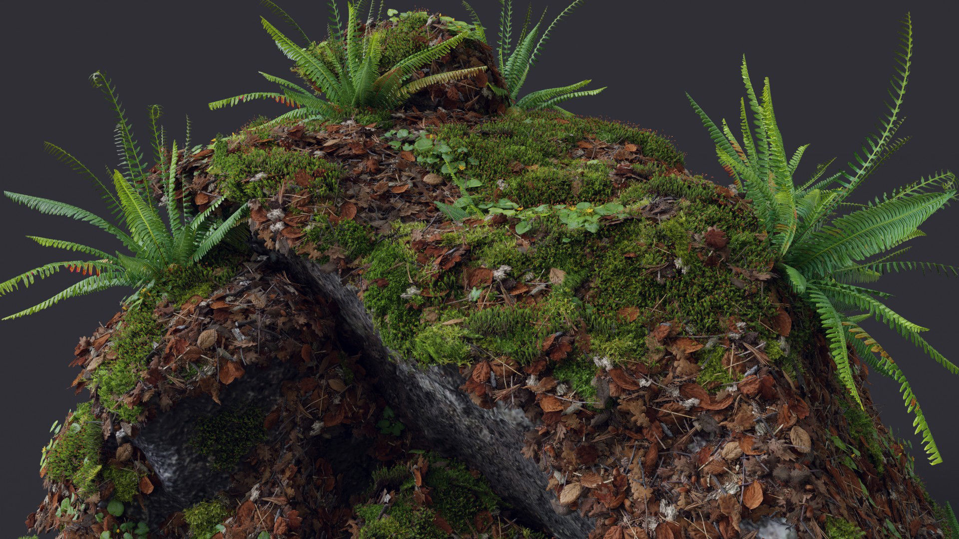 3D model Moss Biome Ground Scatter - 3D AssetKit PBR VR / AR / low-poly ...