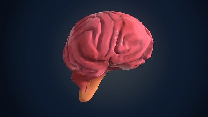 3D model low poly brain VR / AR / low-poly | CGTrader