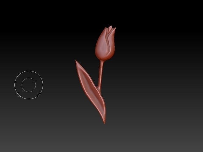 Tulip free 3D model | CGTrader