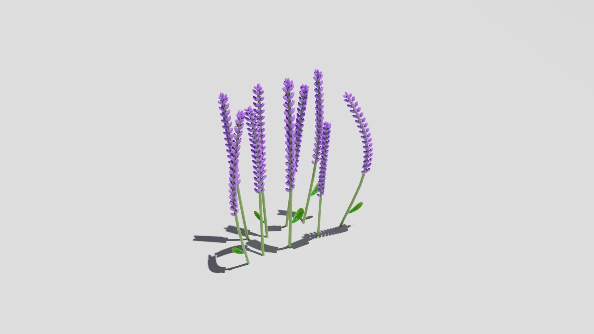 3D model lavender flower VR / AR / low-poly | CGTrader