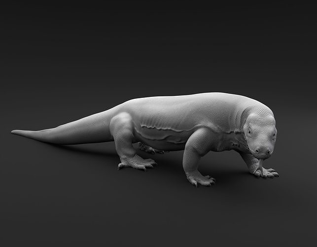 Komodo dragon intended for 3D printing 3D model 3D printable | CGTrader