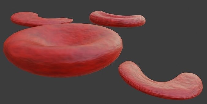 3D model Sickle Cells VR / AR / low-poly | CGTrader