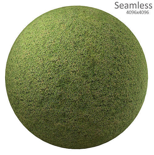 Texture grass texture VR / AR / low-poly | CGTrader