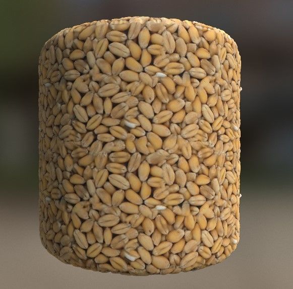 Grain PBR wheat in sphere Texture | CGTrader