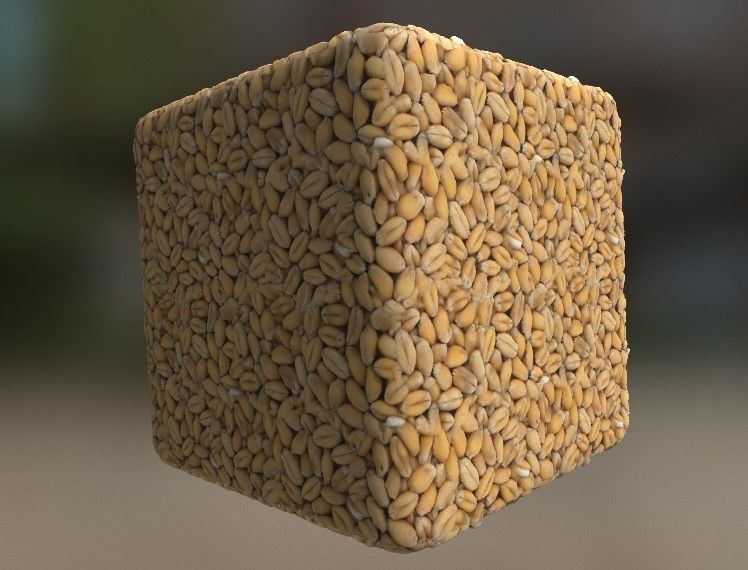Grain PBR wheat in sphere Texture | CGTrader
