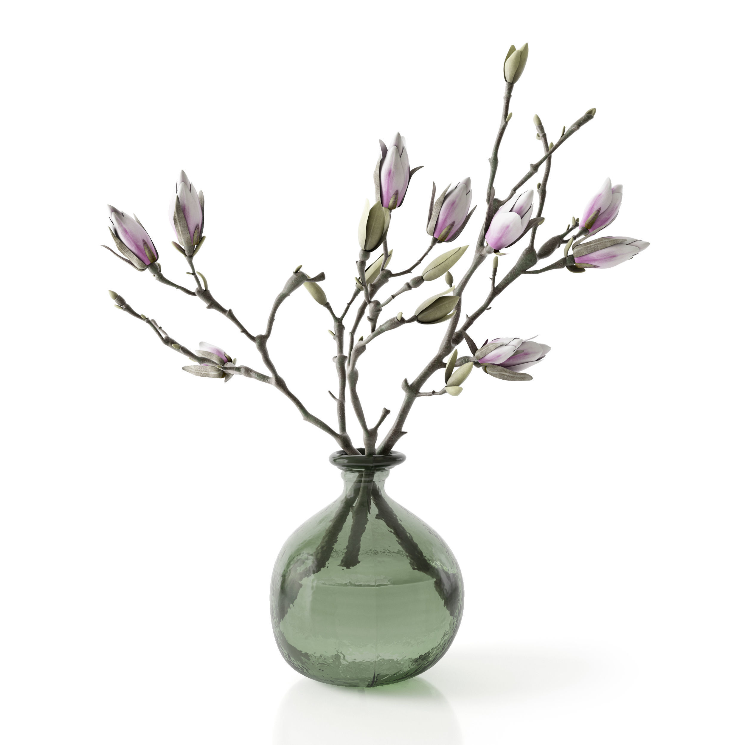 Magnolia in vase 3D model | CGTrader