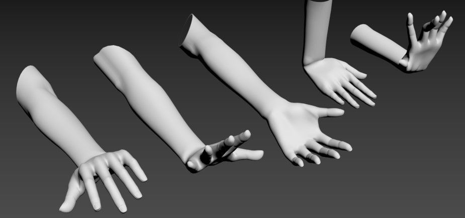 Hand Poses 3D model | CGTrader