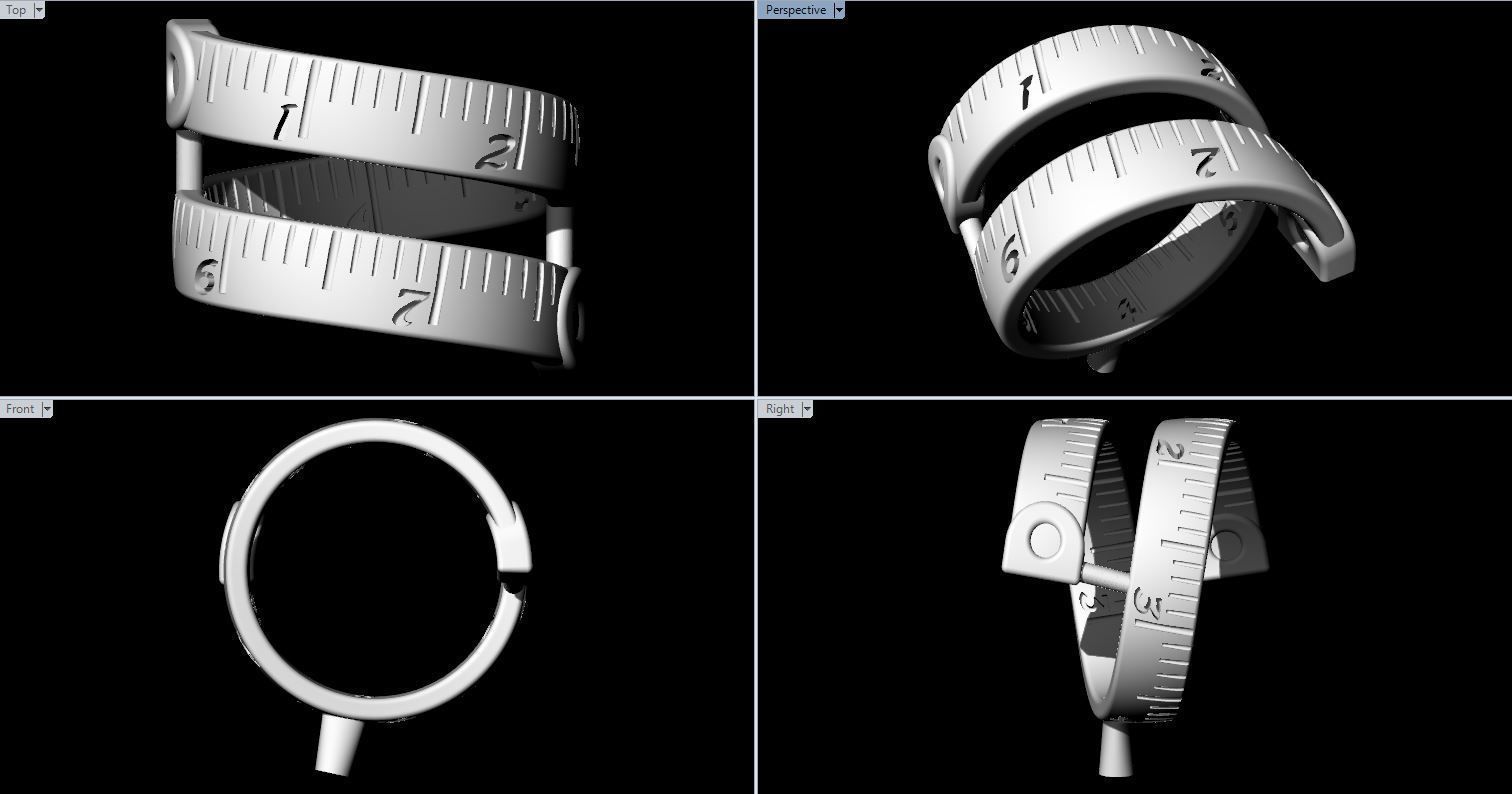 Scale Ring 3D model 3D printable | CGTrader