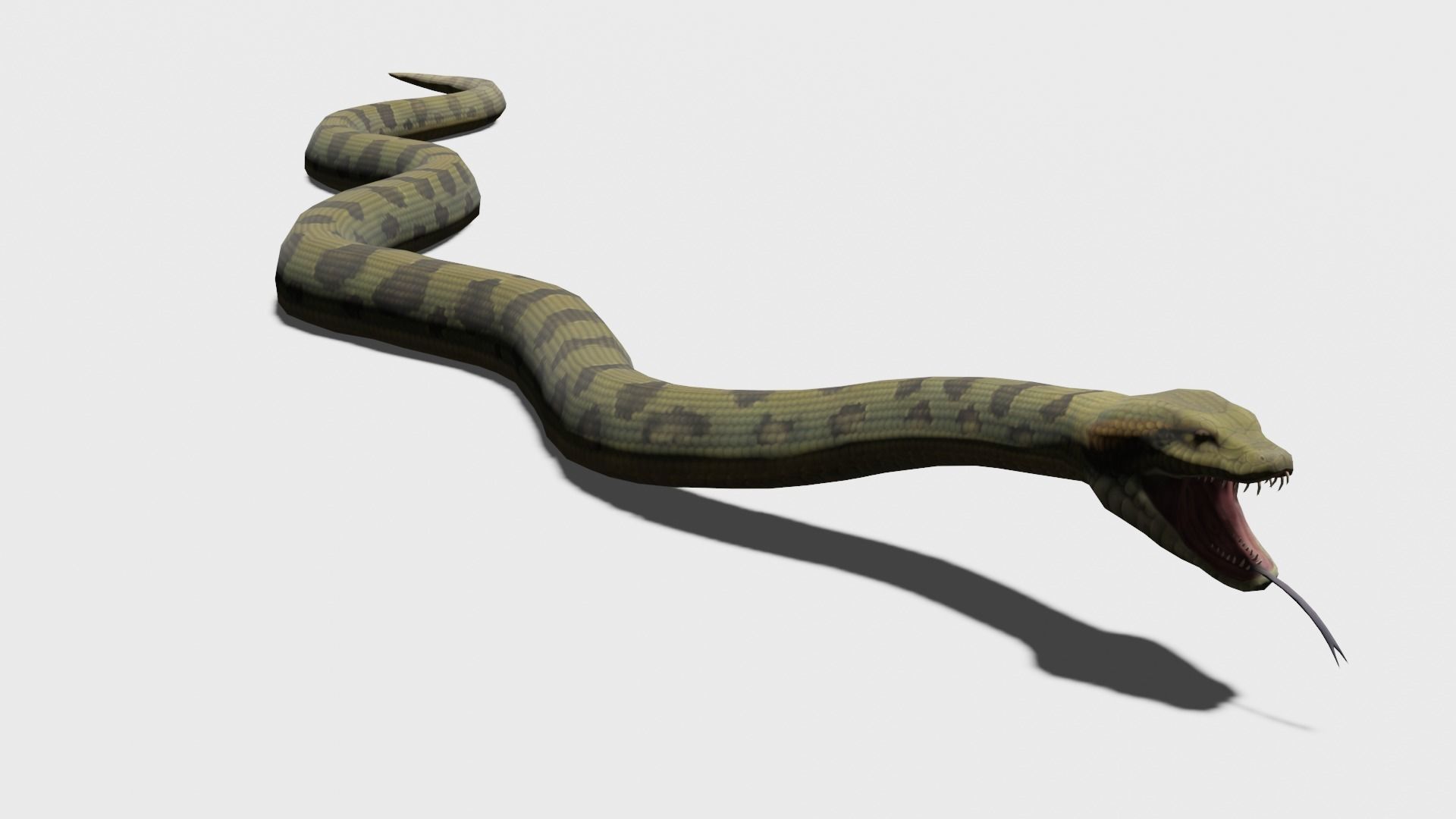 Anaconda 3D model rigged | CGTrader