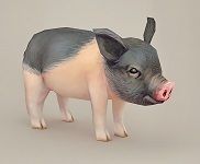 HOHOL PIG 3D model | CGTrader