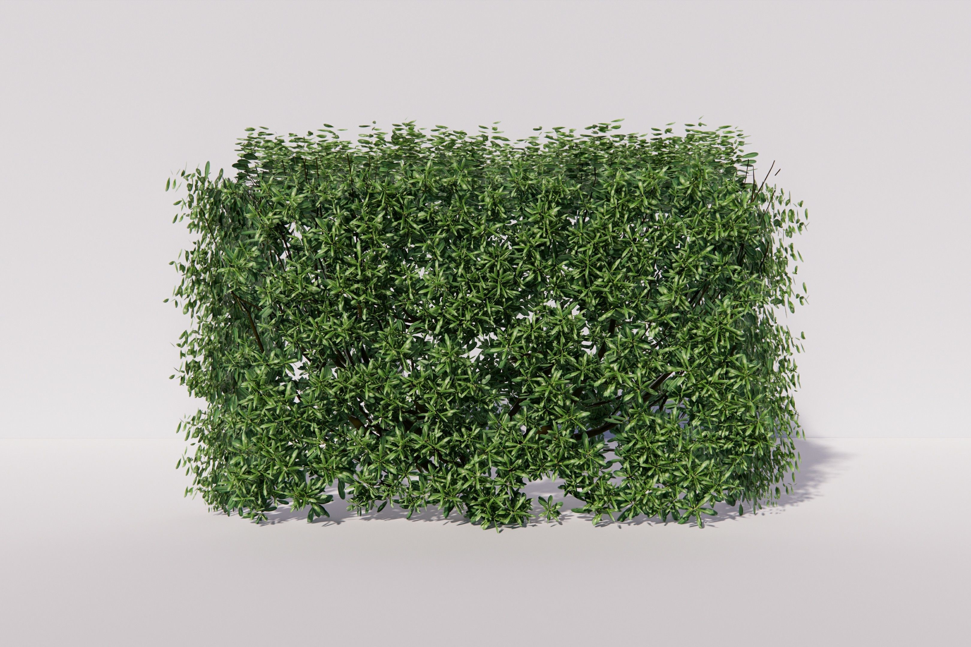 Bushballs hedges 3D model | CGTrader