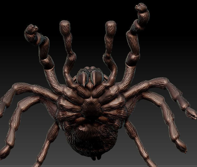 Tarantula spider 3D model 3D printable | CGTrader