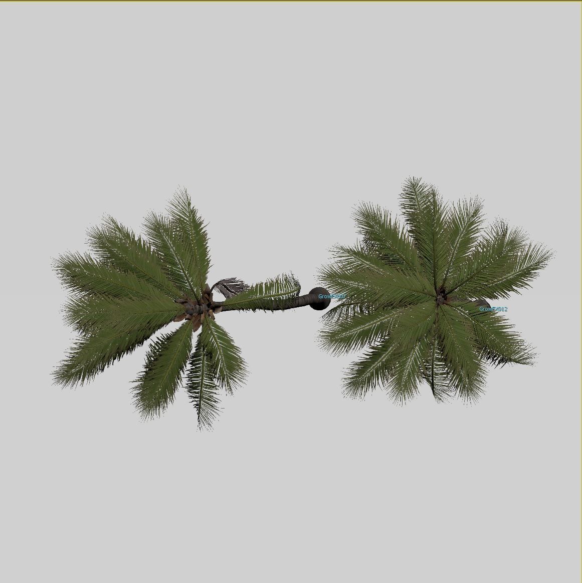 COCONUT TREE VOLUME PACK 02 - GFX INCLUDED 3D model | CGTrader