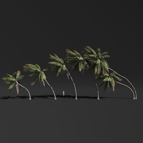 COCONUT TREE VOLUME PACK 02 - GFX INCLUDED 3D model | CGTrader
